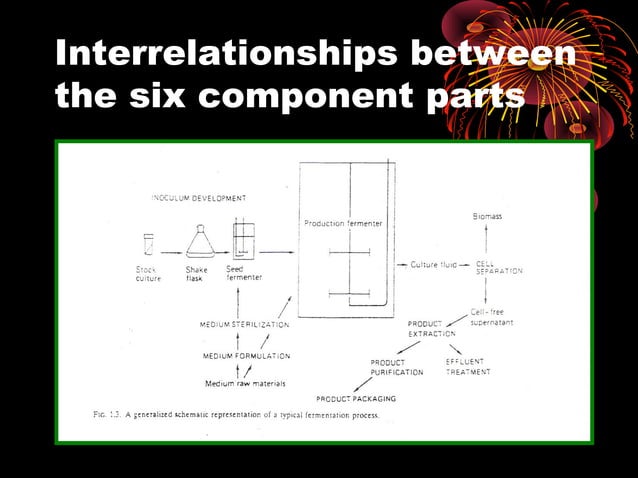 An introduction to fermentation process | PPT | Chemistry | Science