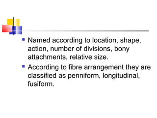 An introduction to fitness | PPT