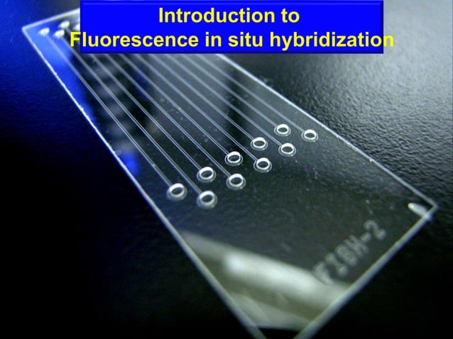An introduction to fluorescent in situ hybridization. | PPTX ...
