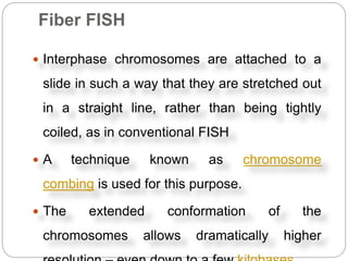 An introduction to fluorescent in situ hybridization. | PPTX