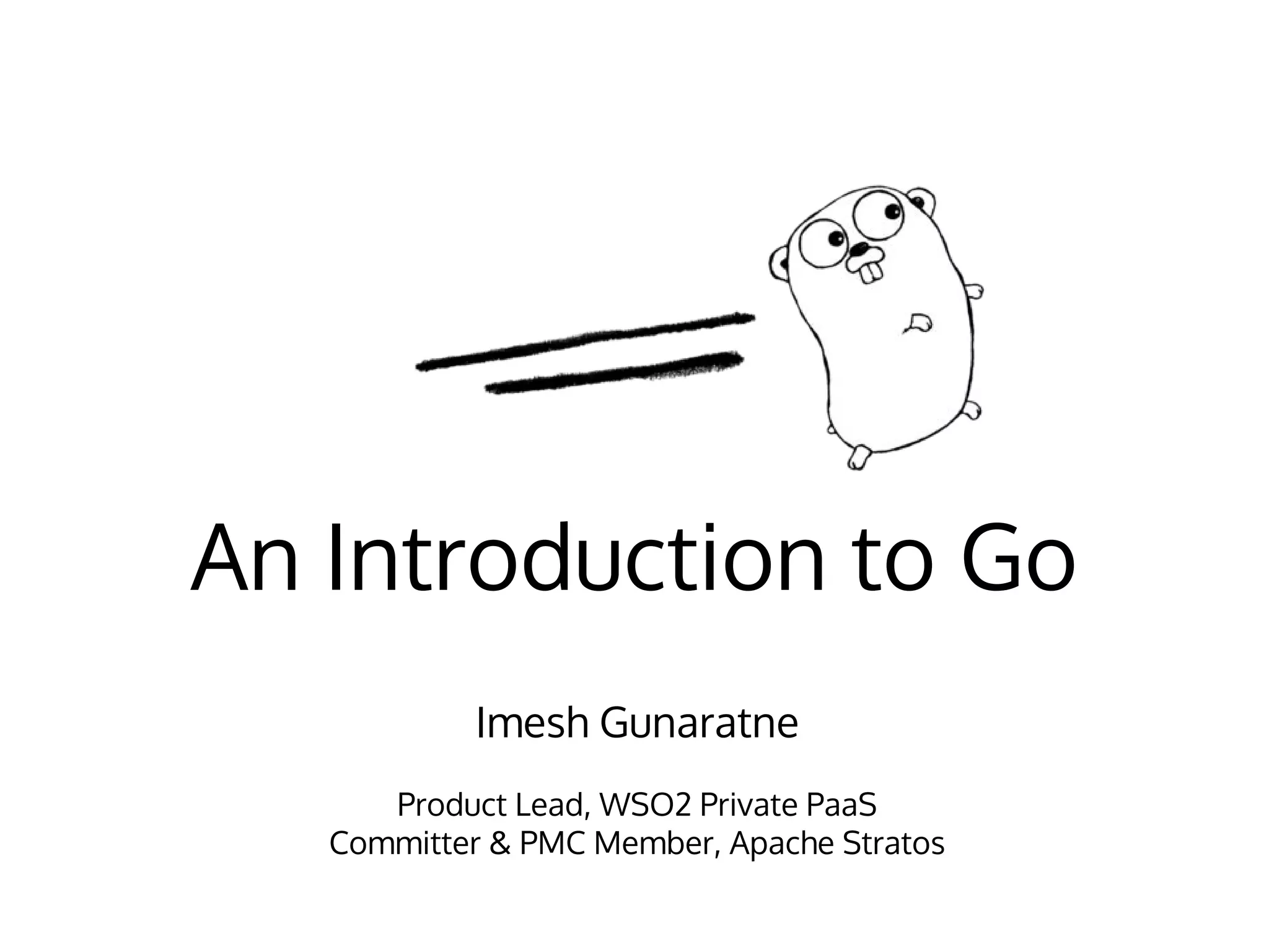 An Introduction to Go | PDF