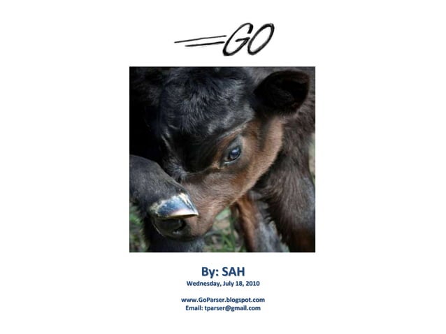 An introduction to go programming language | PPT