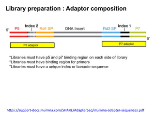 An introduction to illumina sequencing | PDF