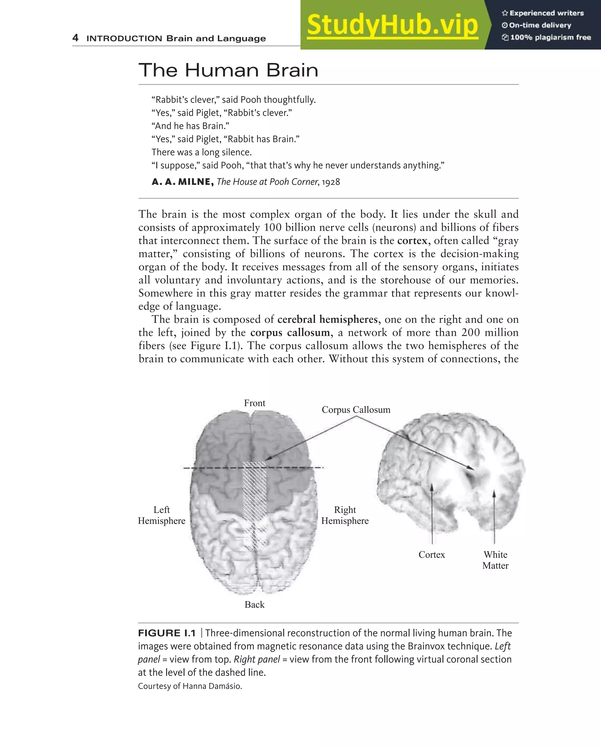 An Introduction to Language.pdf