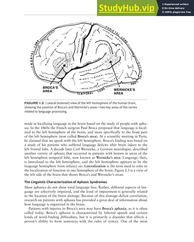 An Introduction to Language.pdf