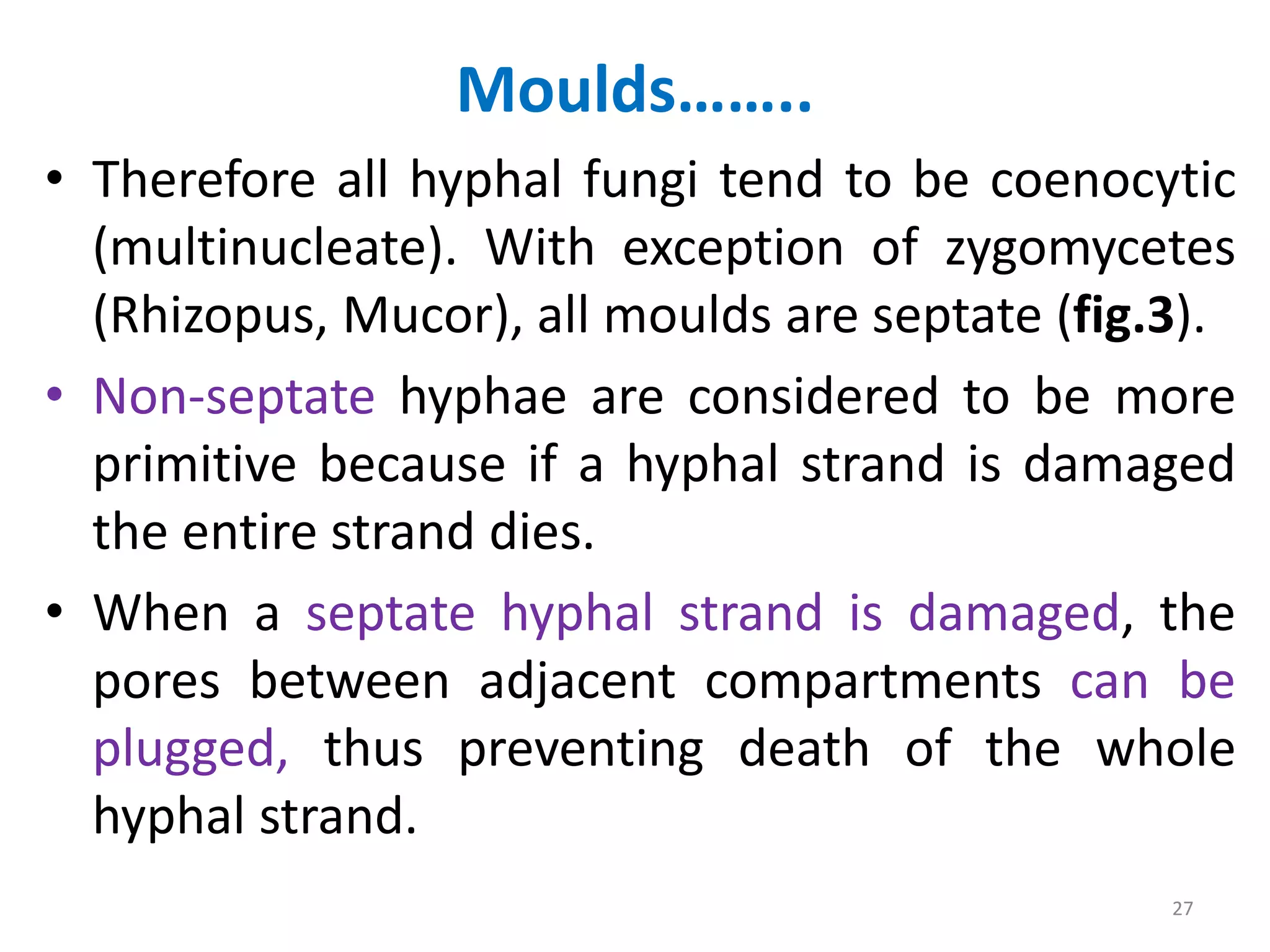 AN INTRODUCTION TO MYCOLOGY 11 2017.ppt