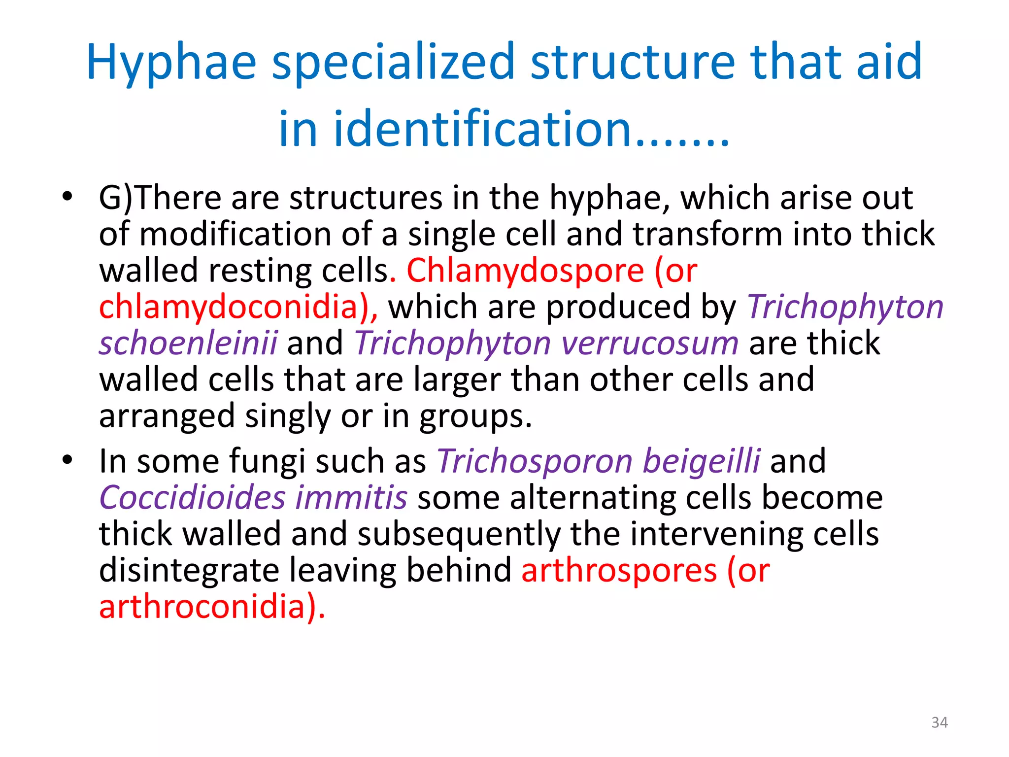 AN INTRODUCTION TO MYCOLOGY 11 2017.ppt