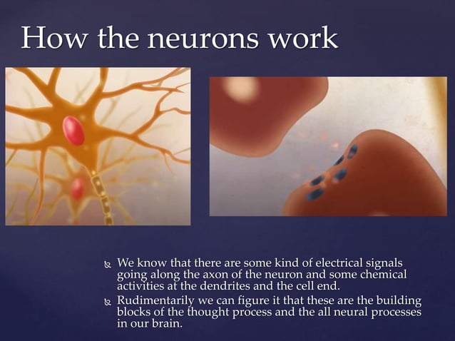 An Introduction to Neural Nets using the Neurons.pptx