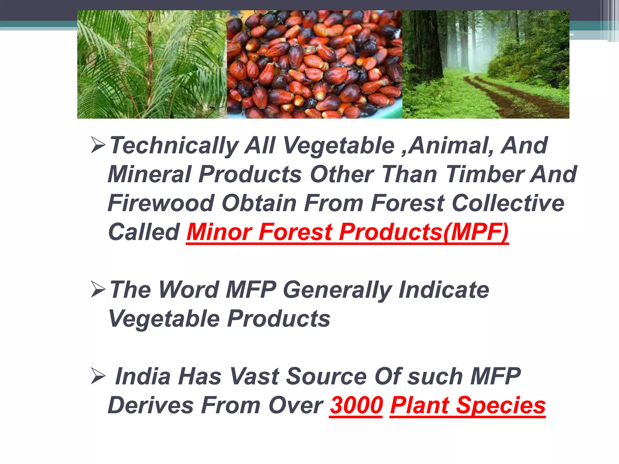 An Introduction To NTFP.pptx