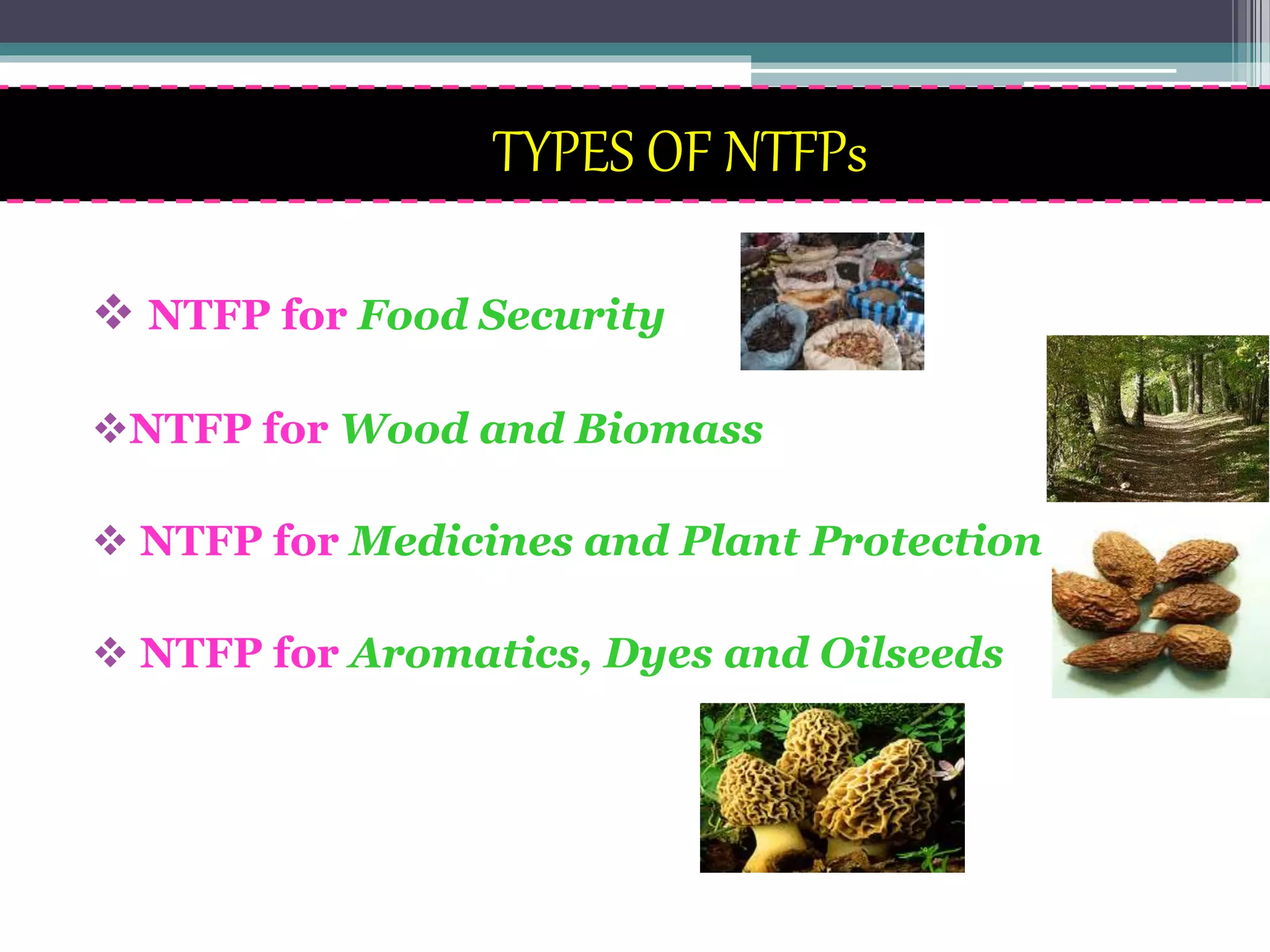 An Introduction To NTFP.pptx