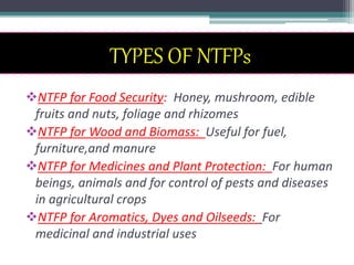 An Introduction To NTFP.pptx