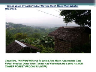 An Introduction To NTFP.pptx