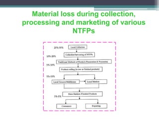 An Introduction To NTFP.pptx