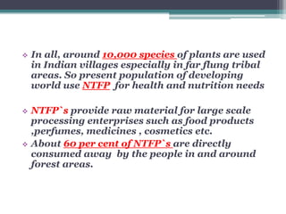 An Introduction To NTFP.pptx