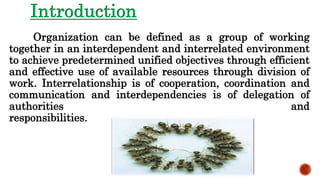 An introduction to organising | PPT