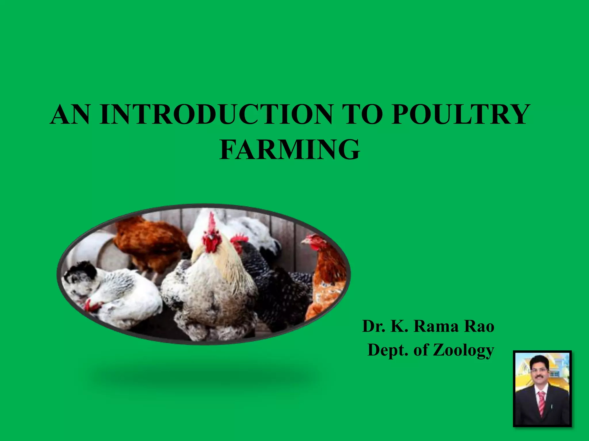 An introduction to poultry farming | PPTX
