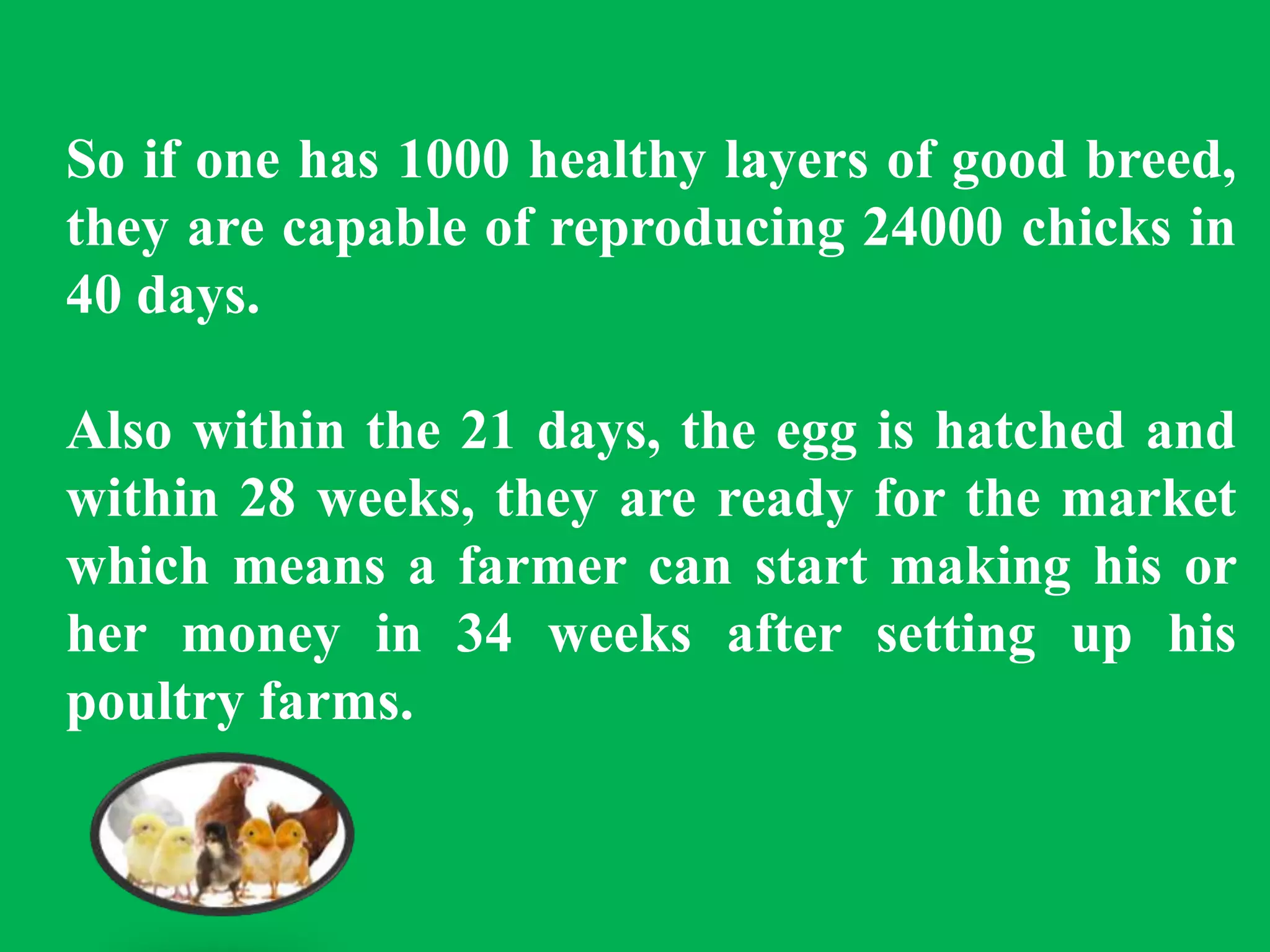 An introduction to poultry farming | PPTX
