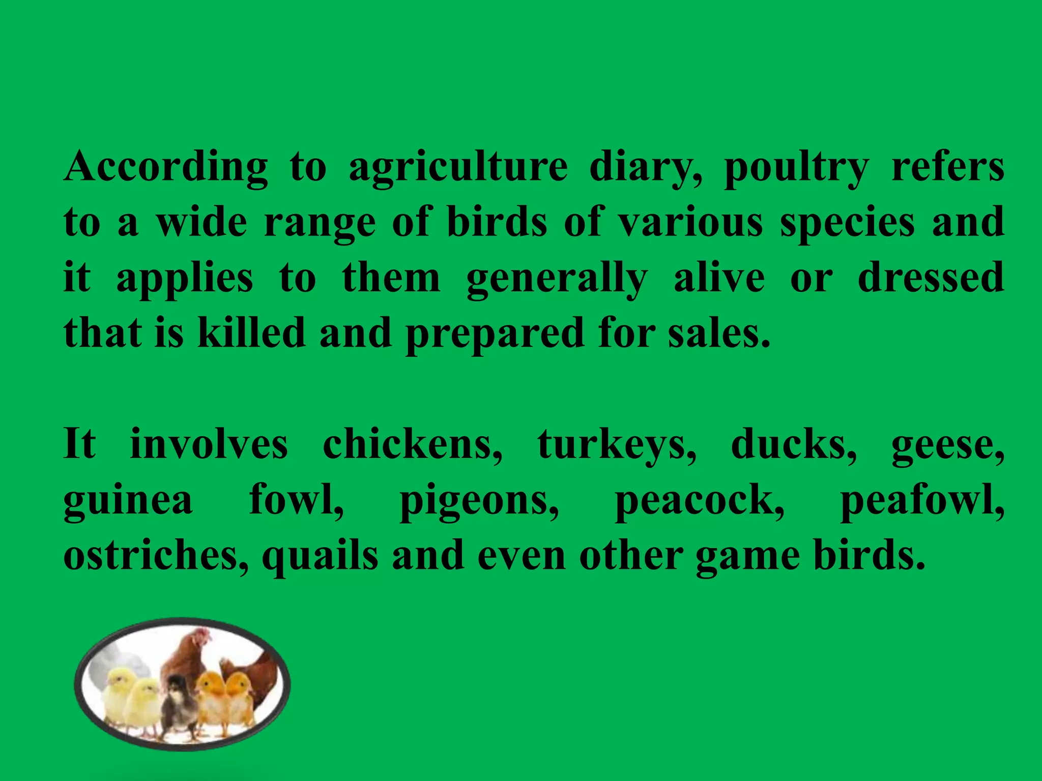 An introduction to poultry farming | PPTX