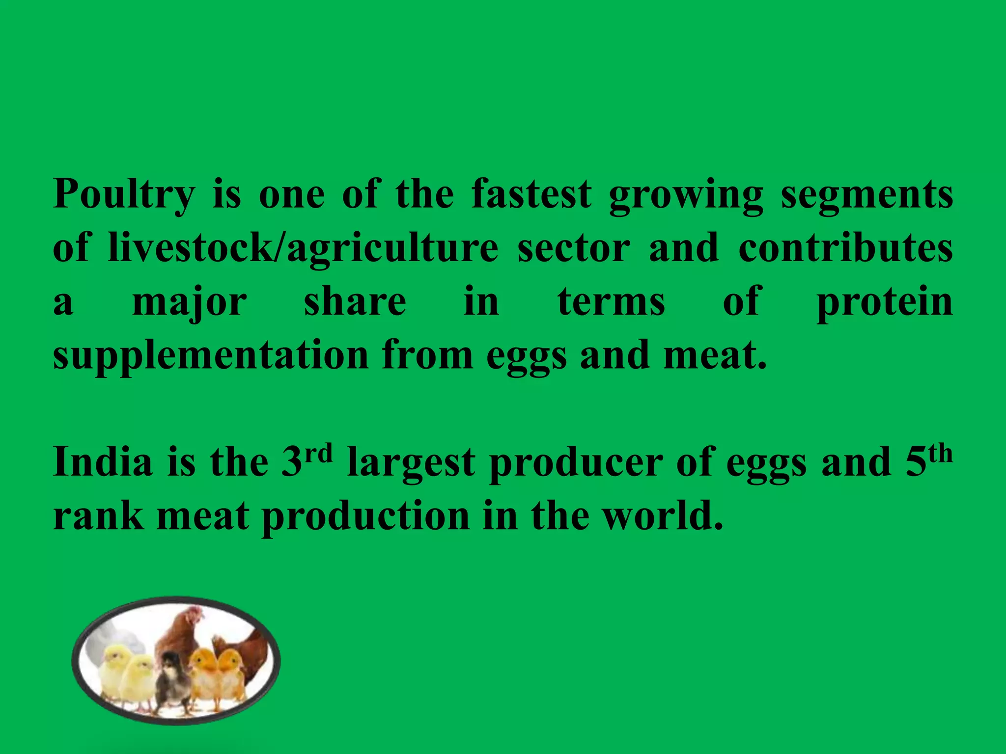 An introduction to poultry farming | PPTX