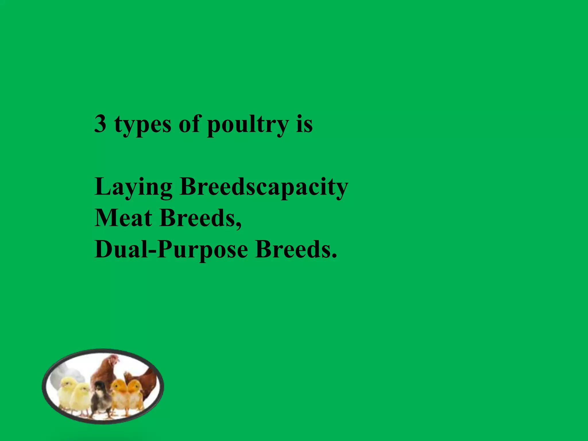 An introduction to poultry farming | PPTX