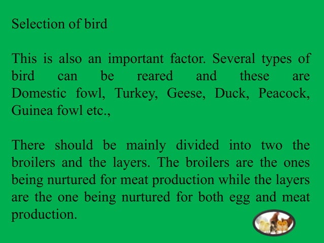 An introduction to poultry farming | PPTX