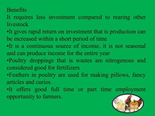 An introduction to poultry farming | PPTX