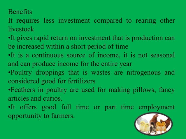 An introduction to poultry farming | PPTX