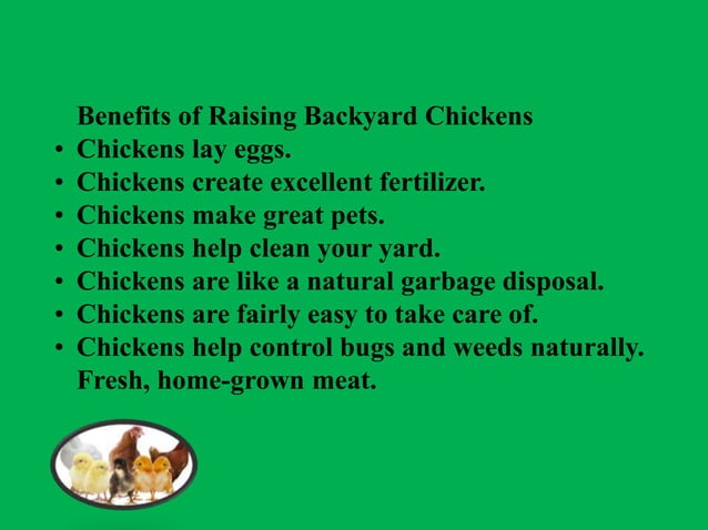 An introduction to poultry farming | PPTX