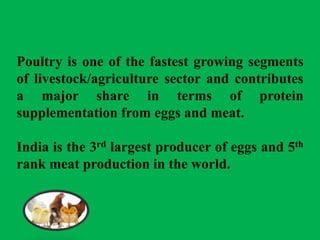 An introduction to poultry farming | PPTX