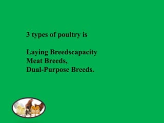 An introduction to poultry farming | PPTX