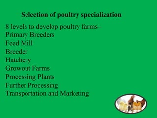 An introduction to poultry farming | PPTX