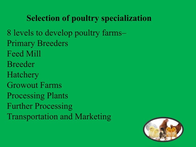 An introduction to poultry farming | PPTX