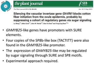 An introduction to promoter prediction and analysis | PPTX