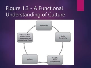 An Introduction to Psychology of Culture diversity.pptx