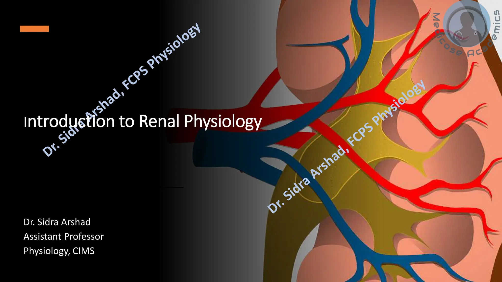 Introduction to Renal Physiology - Functional Anatomy and Urine Formation | PDF