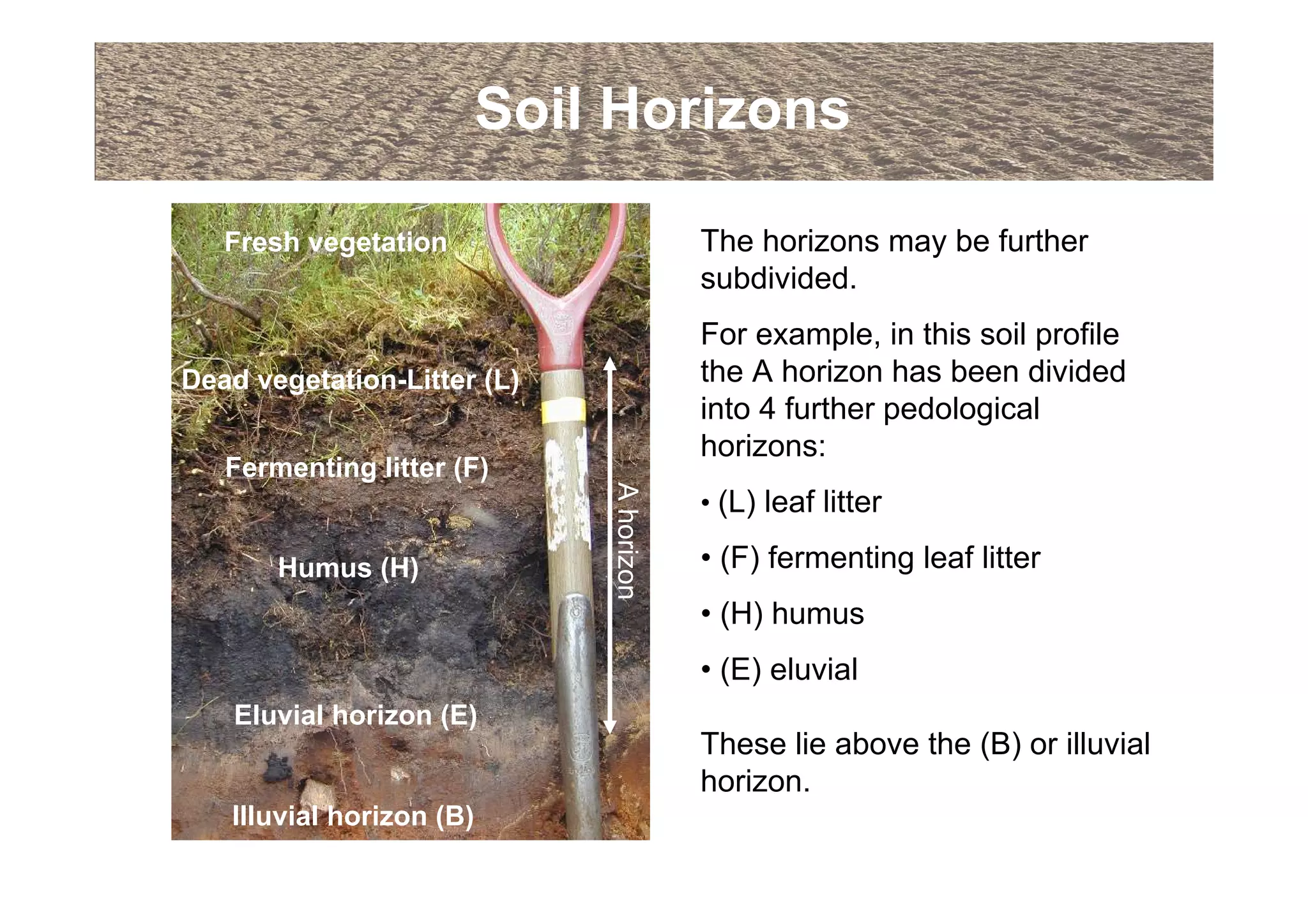 An introduction to soils, soil formation and terminology | PDF