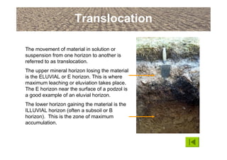 An introduction to soils, soil formation and terminology | PDF