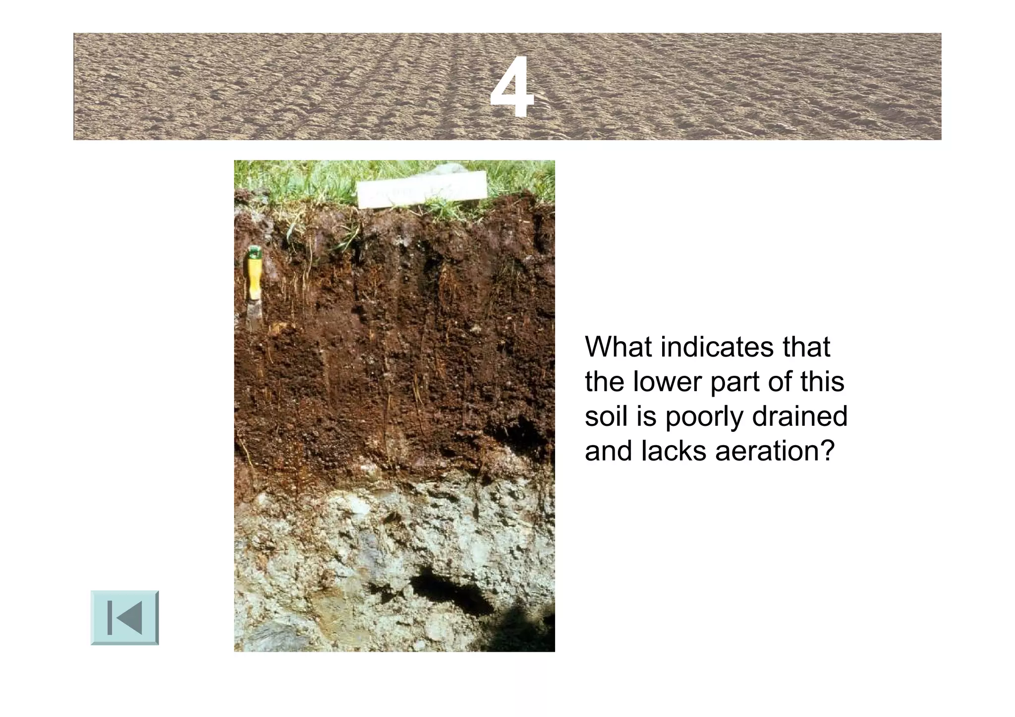 An introduction to soils, soil formation and terminology | PDF