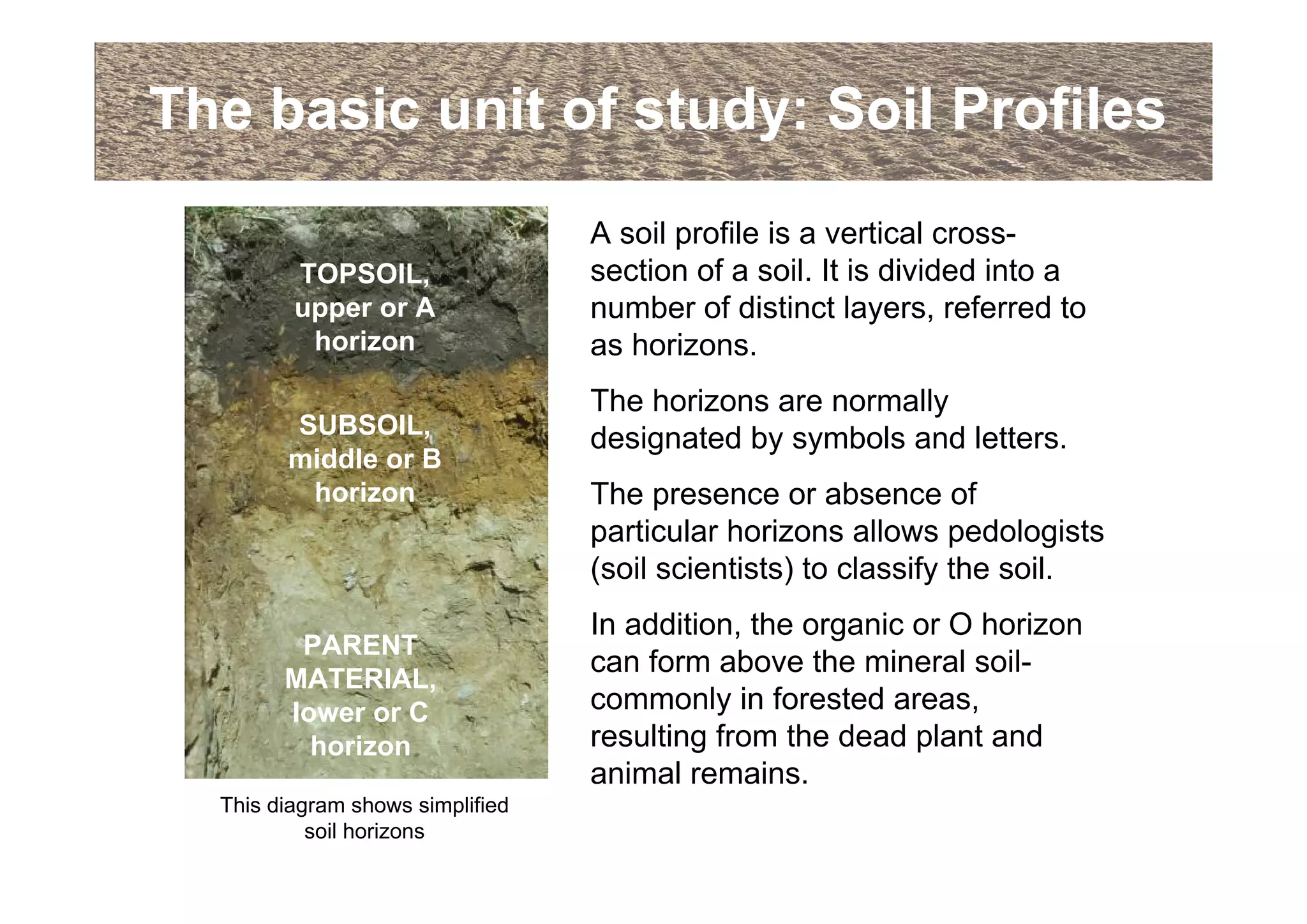 An introduction to soils, soil formation and terminology | PPT