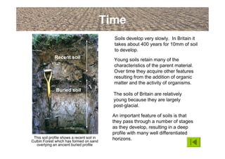 An introduction to soils, soil formation and terminology | PDF