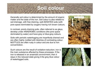 An introduction to soils, soil formation and terminology | PDF