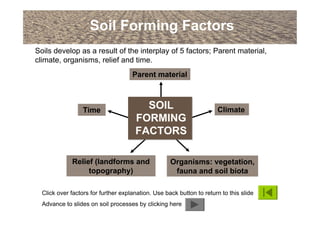 An introduction to soils, soil formation and terminology | PDF