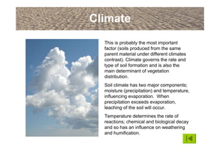An introduction to soils, soil formation and terminology | PDF