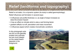 An introduction to soils, soil formation and terminology | PDF