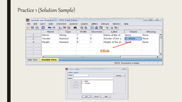 An introduction to spss | PPTX | Programming Languages | Computing