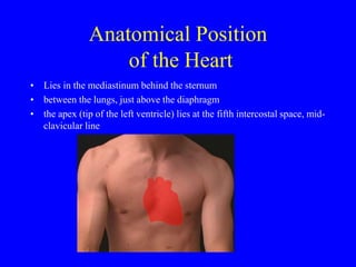AN INTRODUCTION TO THE 12 LEAD ECG IN MEDICINE | PPT