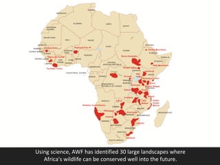 An introduction to the african wildlife foundation 062014 | PPT