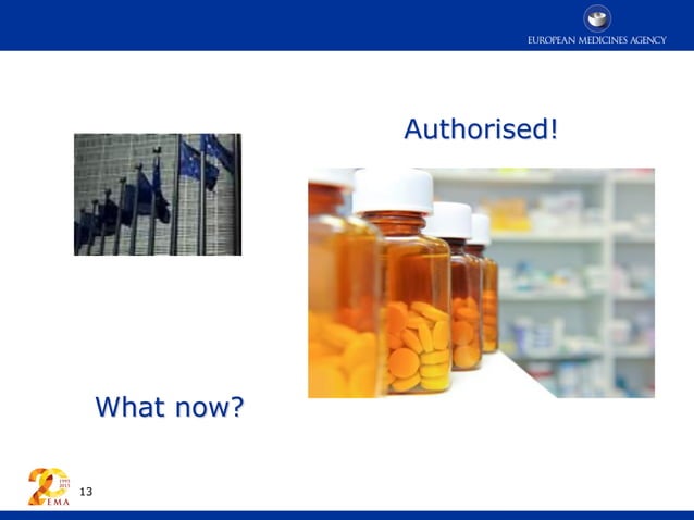 An introduction to the EMA | PDF