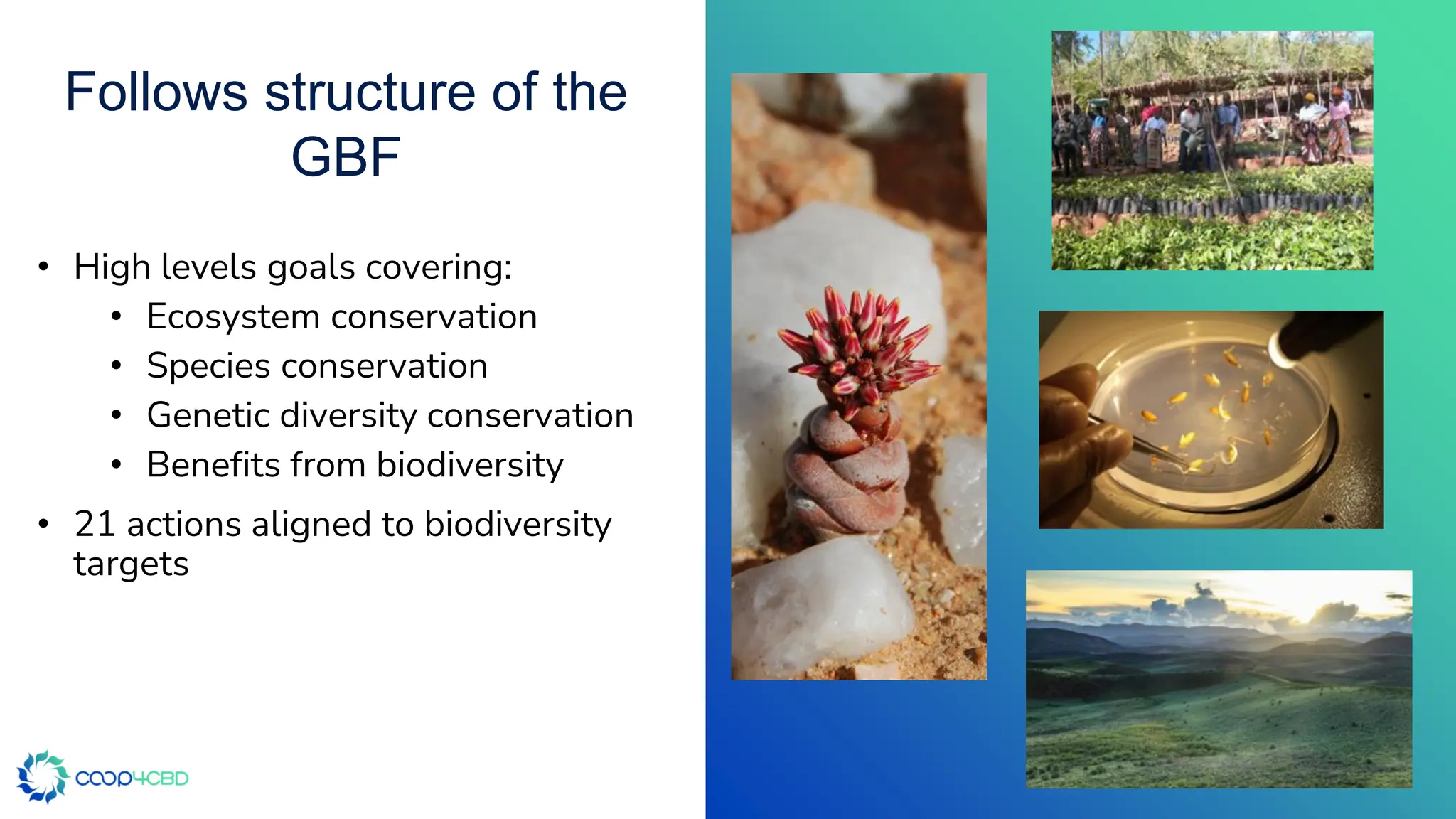 An introduction to the Global Strategy for Plant Conservation.PDF