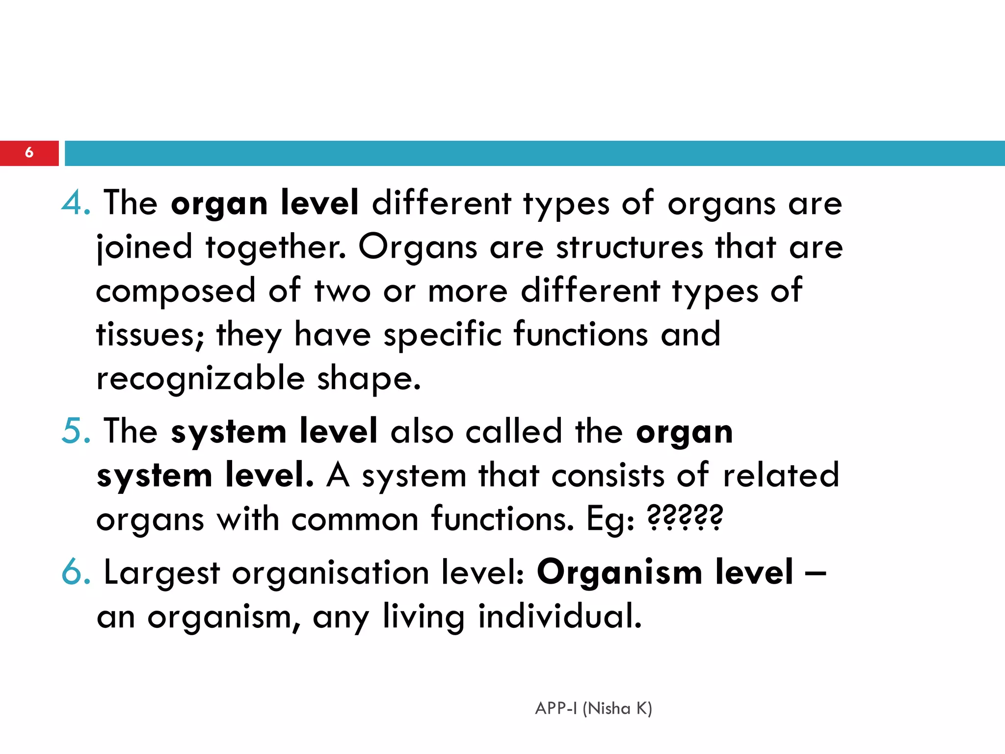 An introduction to the human body and organisation | PDF